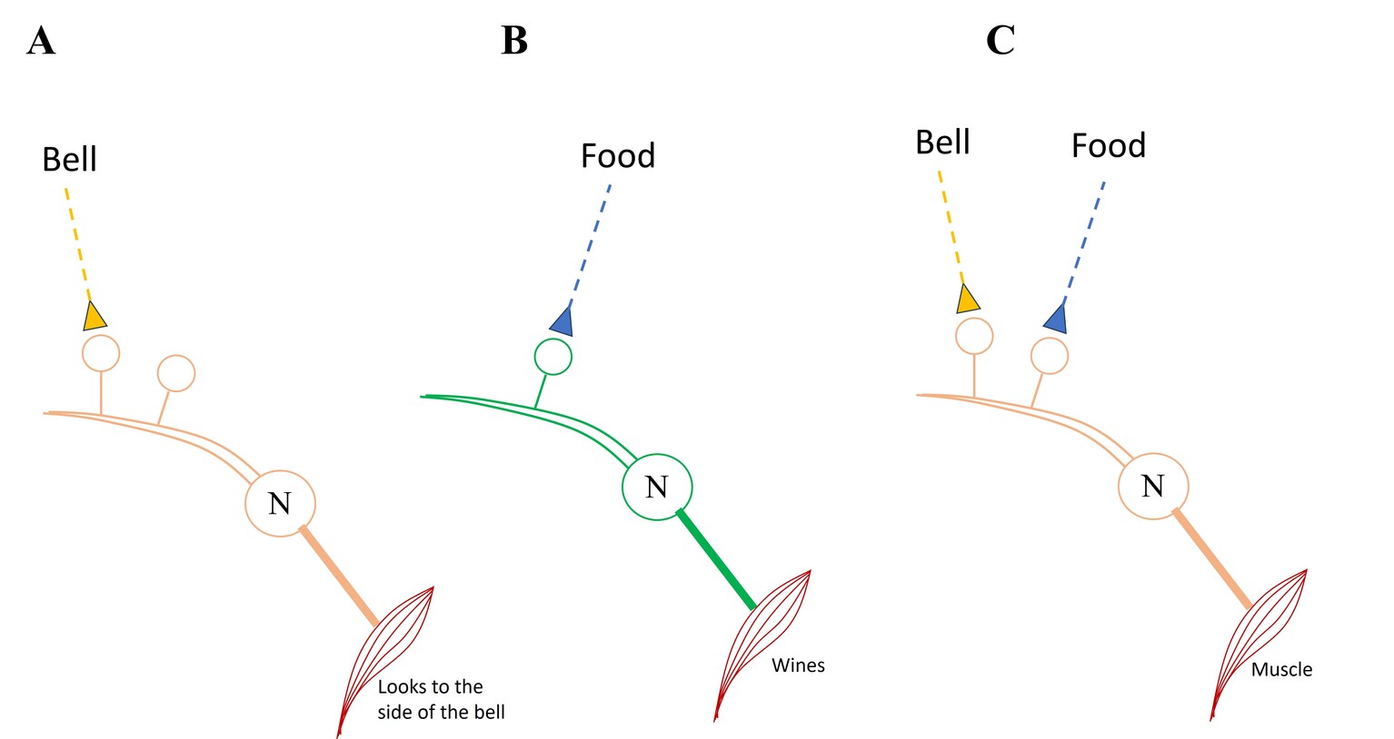 Semblancehypothesis.org