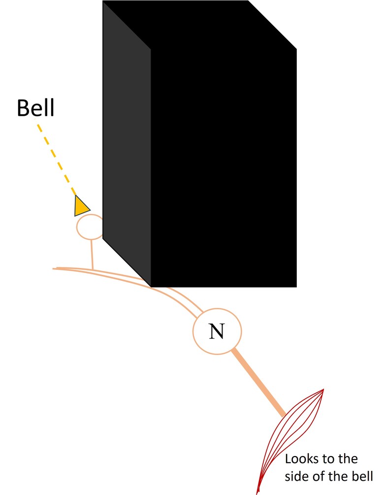 Semblancehypothesis.org